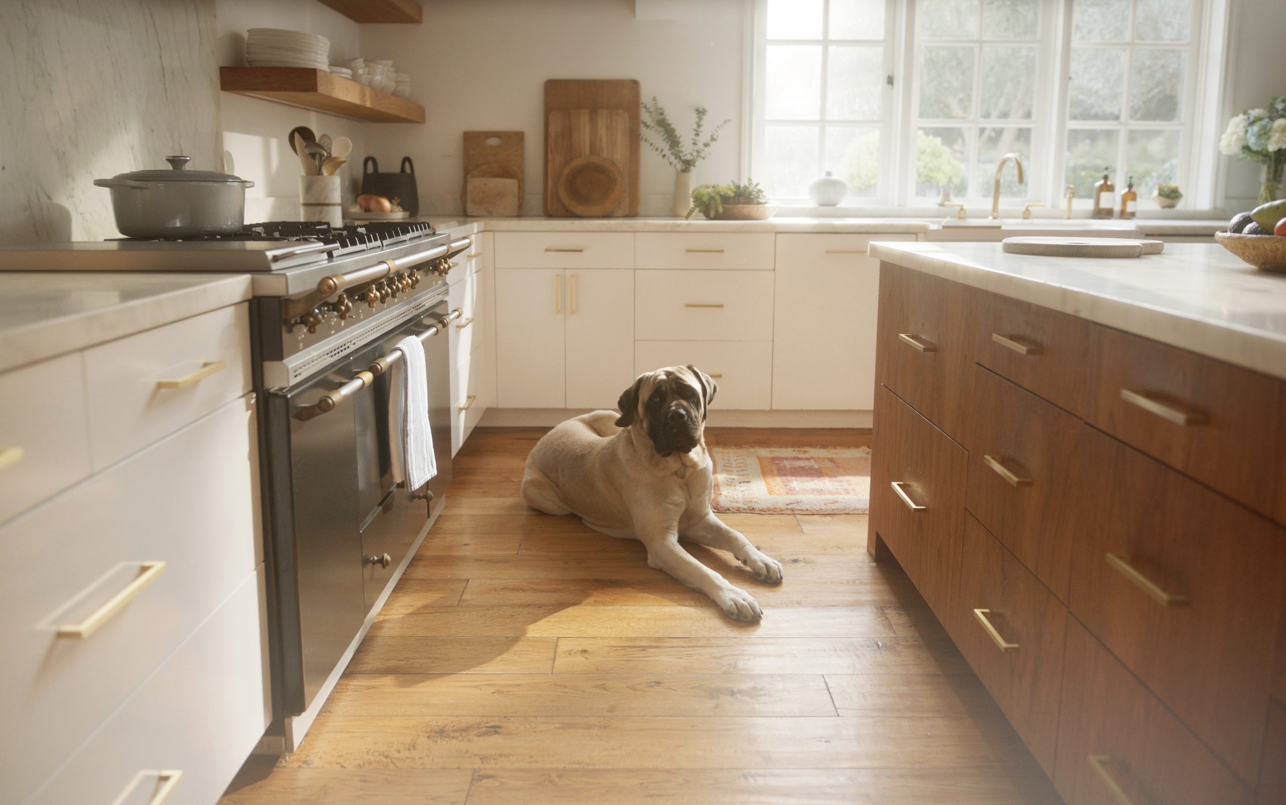 What's My Home Worth? - Jen Conley